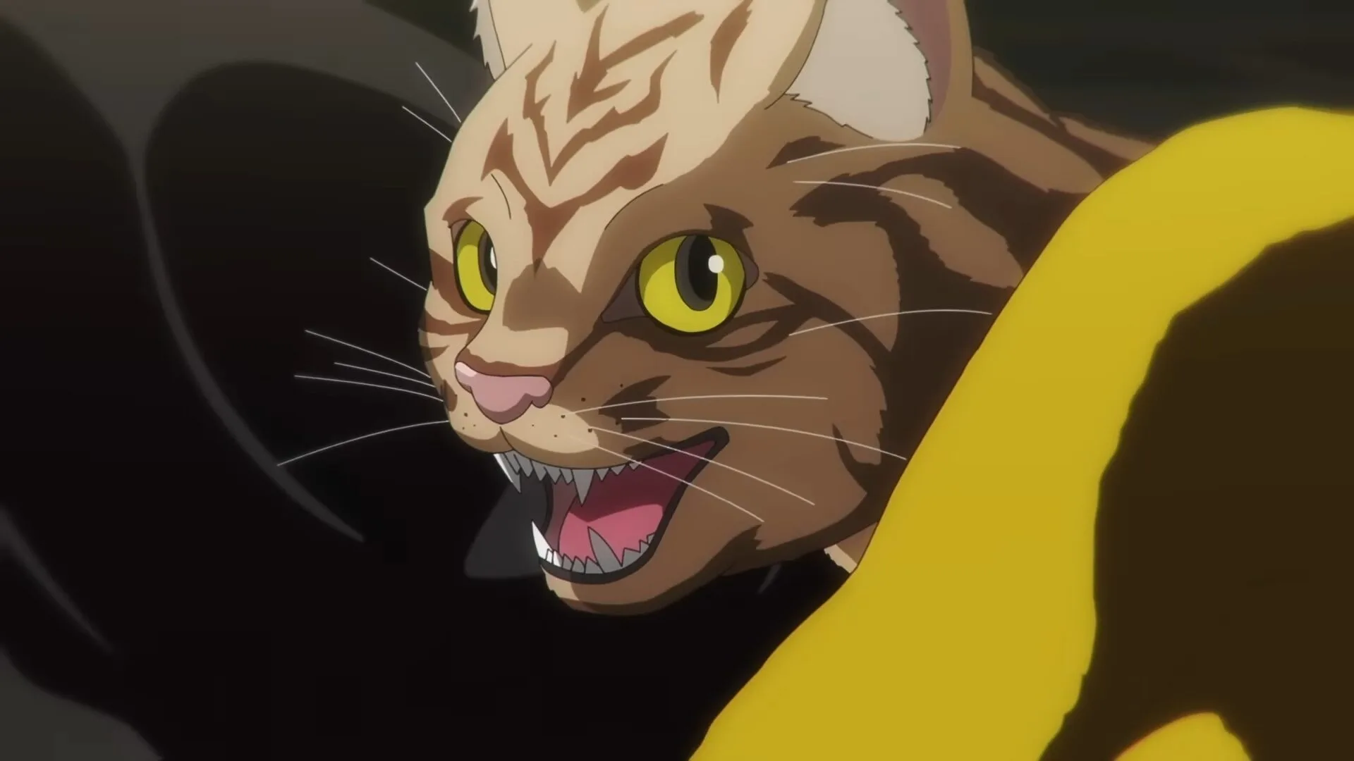 Nyaight of the Living Cat Anime Premieres on July 6